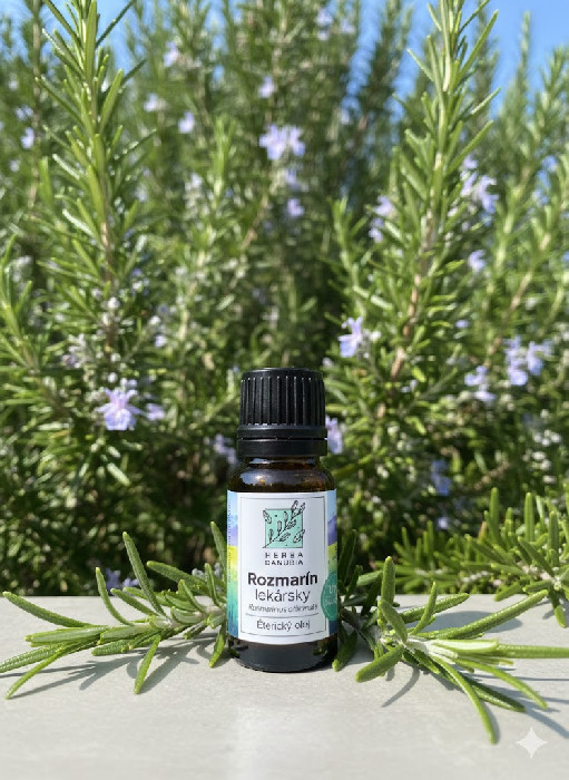 Rozmarín lekársky éterický olej. Rosmarinus Officinalis Leaf Oil 10ml ...